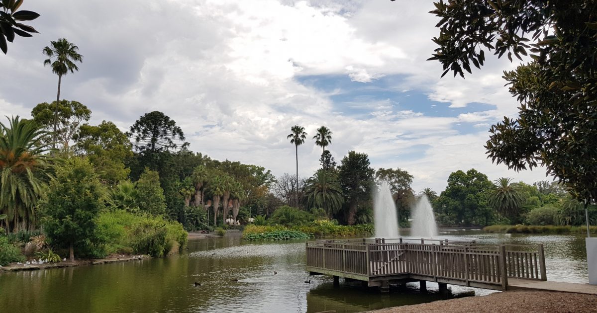 Moonee Ponds | Melbourne Now