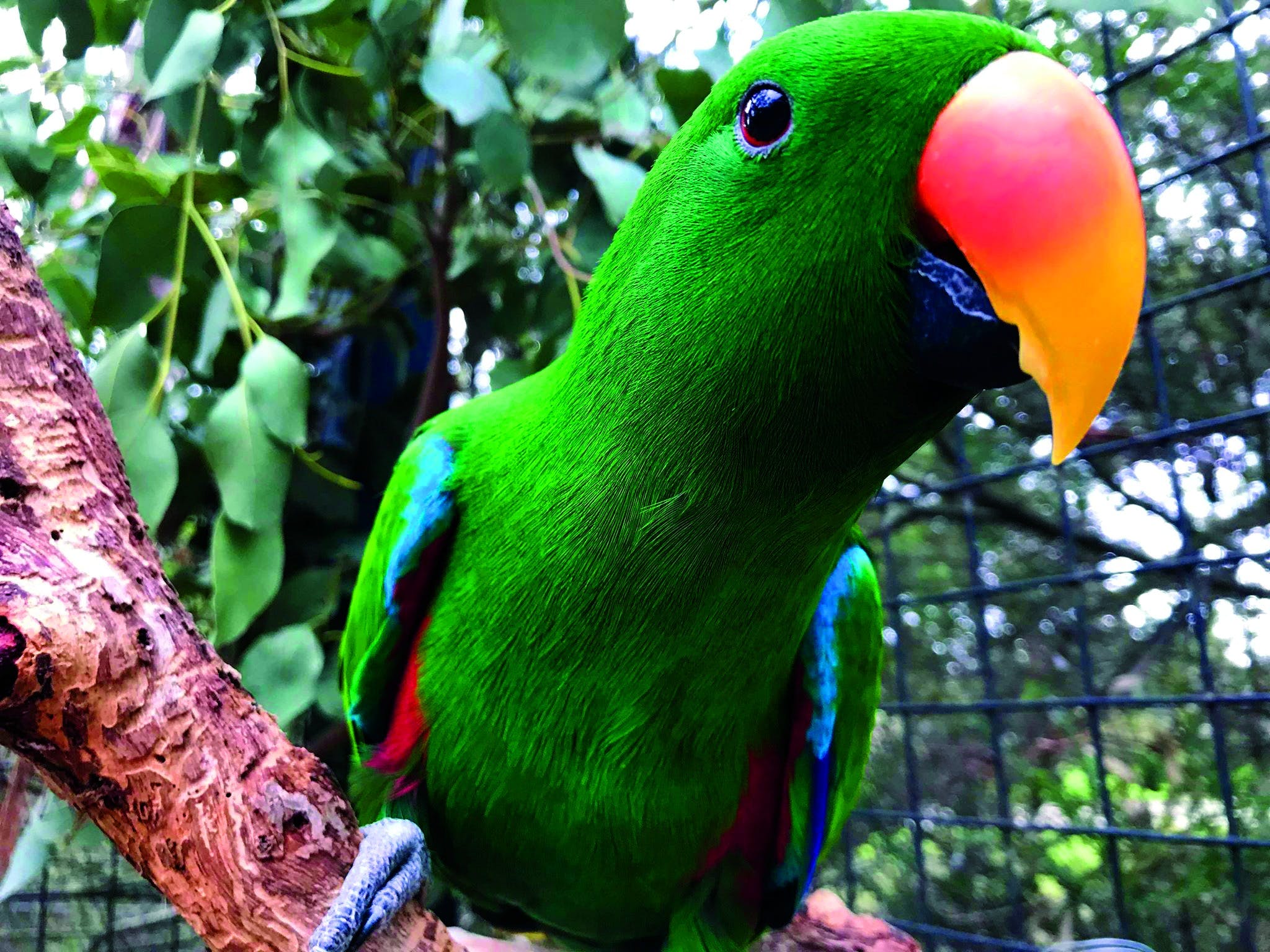 Moonlit Sanctuary Wildlife Conservation Park | Melbourne Now
